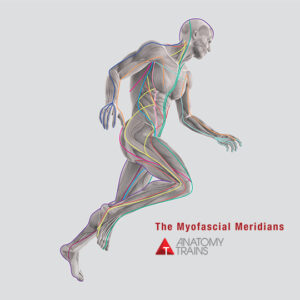 Understanding Fascia and the Benefits of Myofascial Release